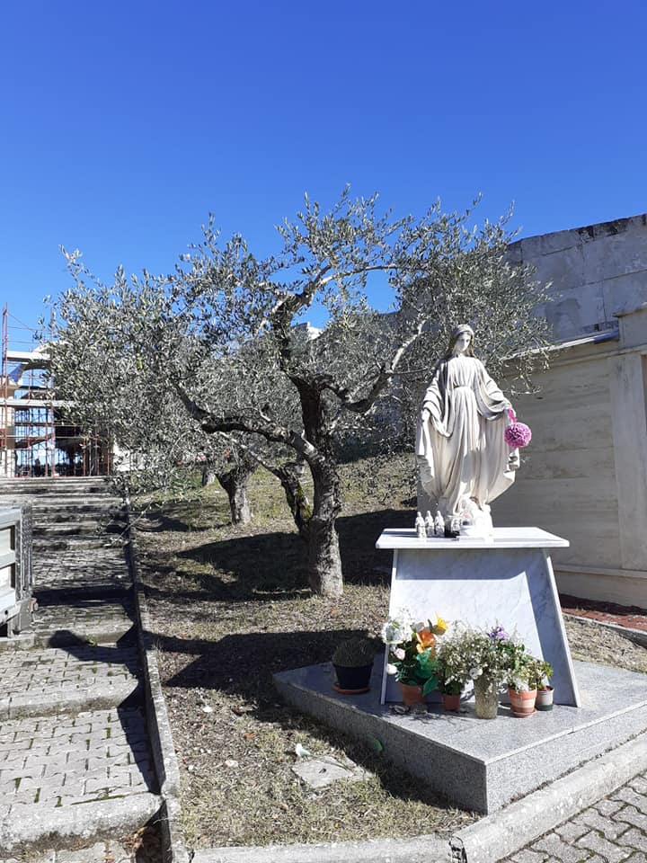 cimitero 3 – ConfineLive